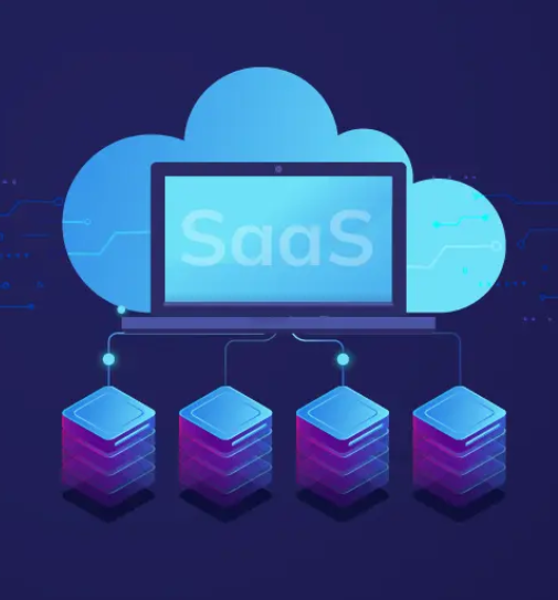 Custom SaaS Application Development | SaaS Company India